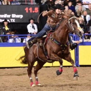 Team Renovo - Renovo Equine