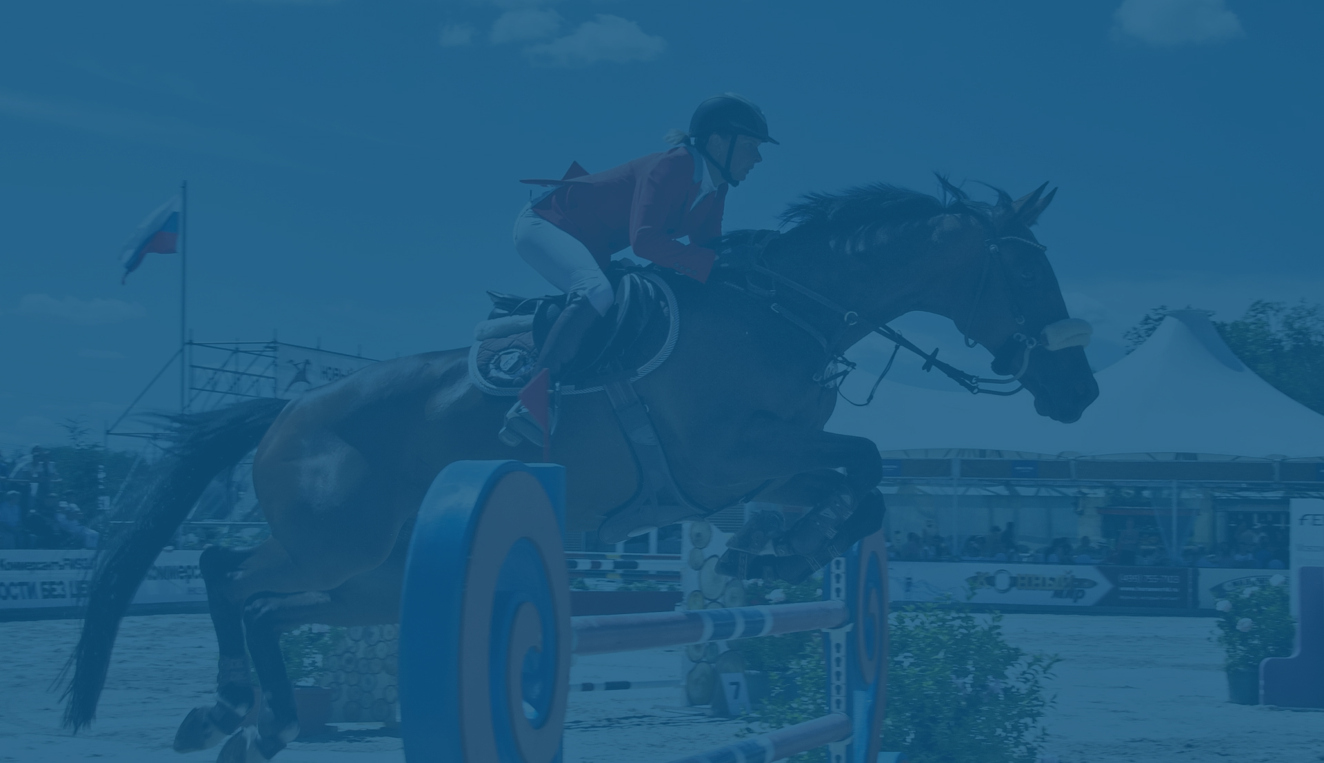 Contact Renovo Equine | Experts in Equine Regenerative Medicine